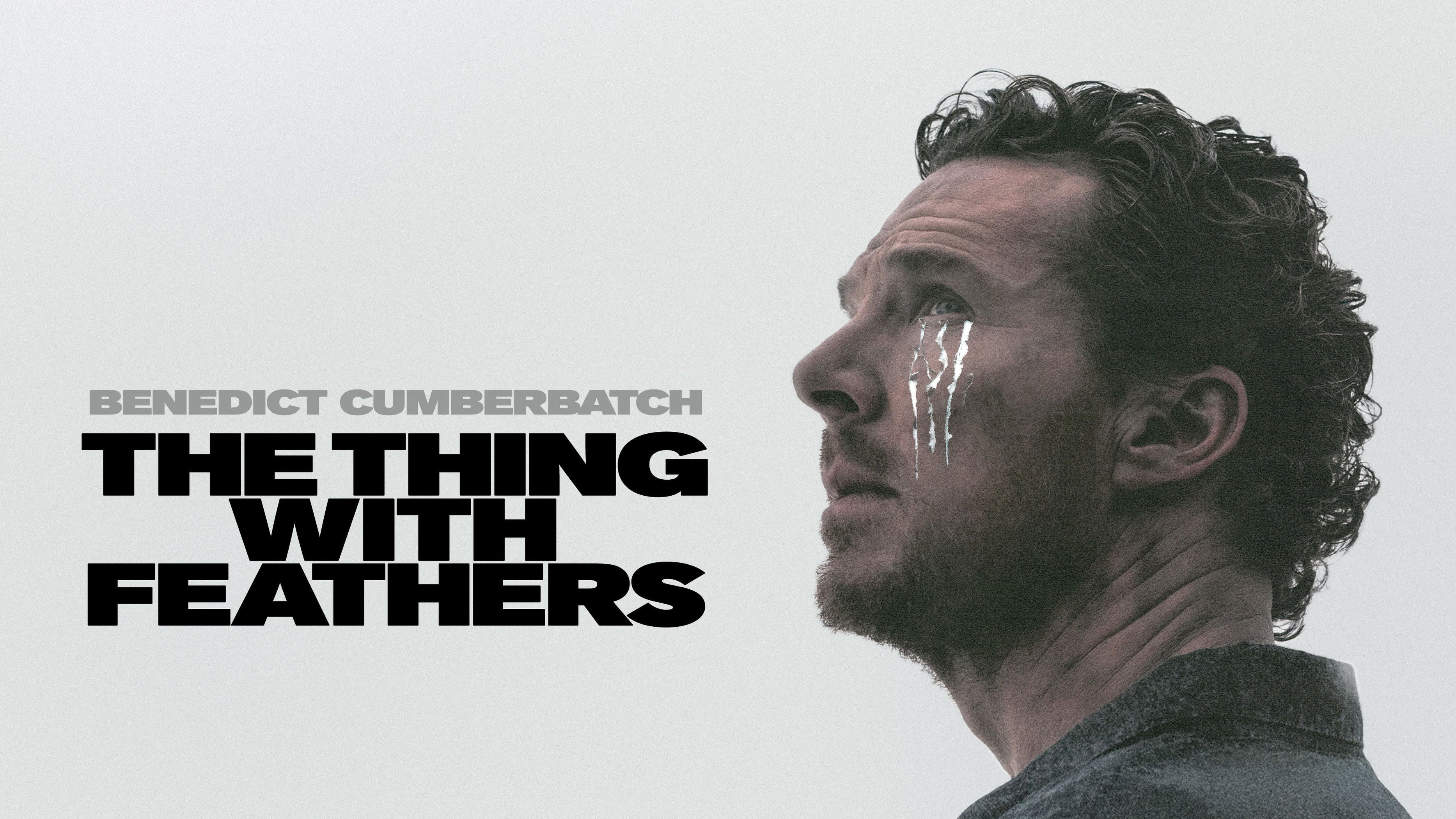 The Thing with Feathers (2025) DVD New Set - Drama — The Handmade Store
